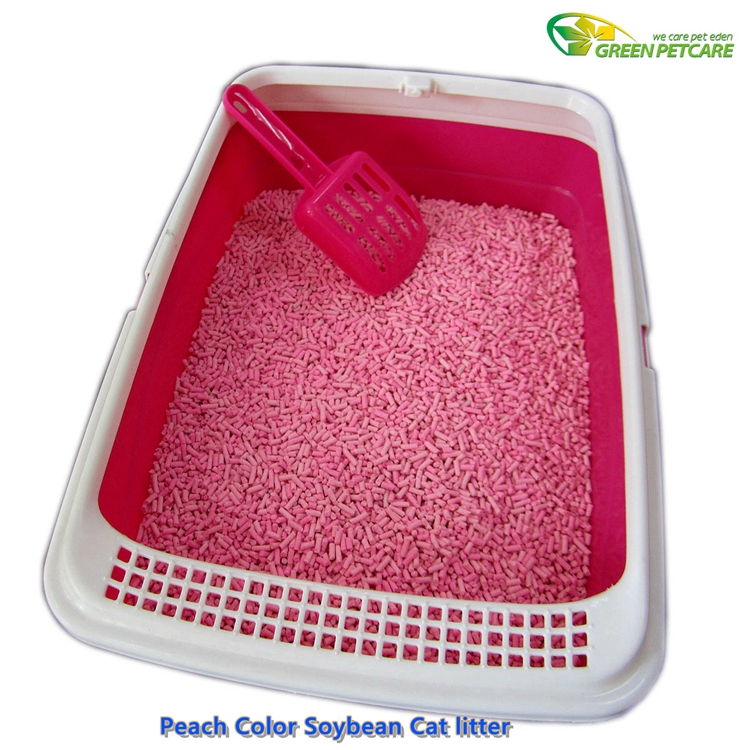 Best Eco Friendly Cat Litter - Green pet care