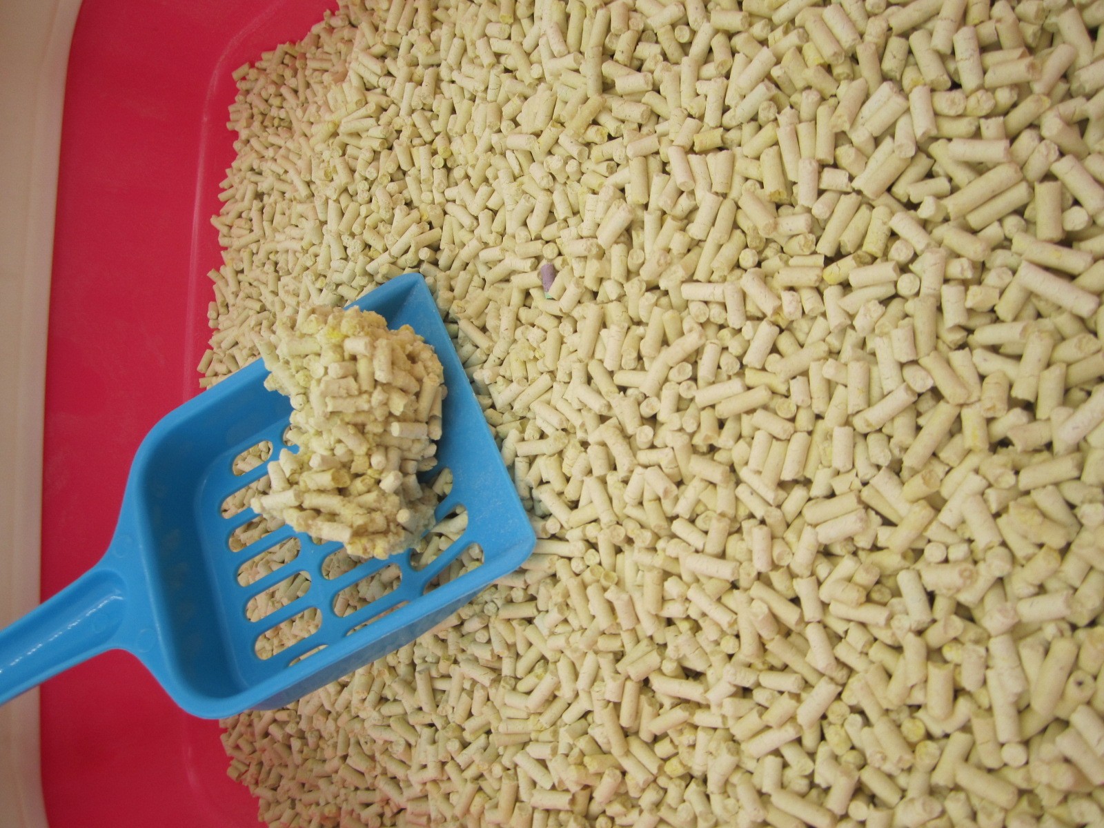 Organic Corn Cat Litter Hot sale in American Market - Green pet care