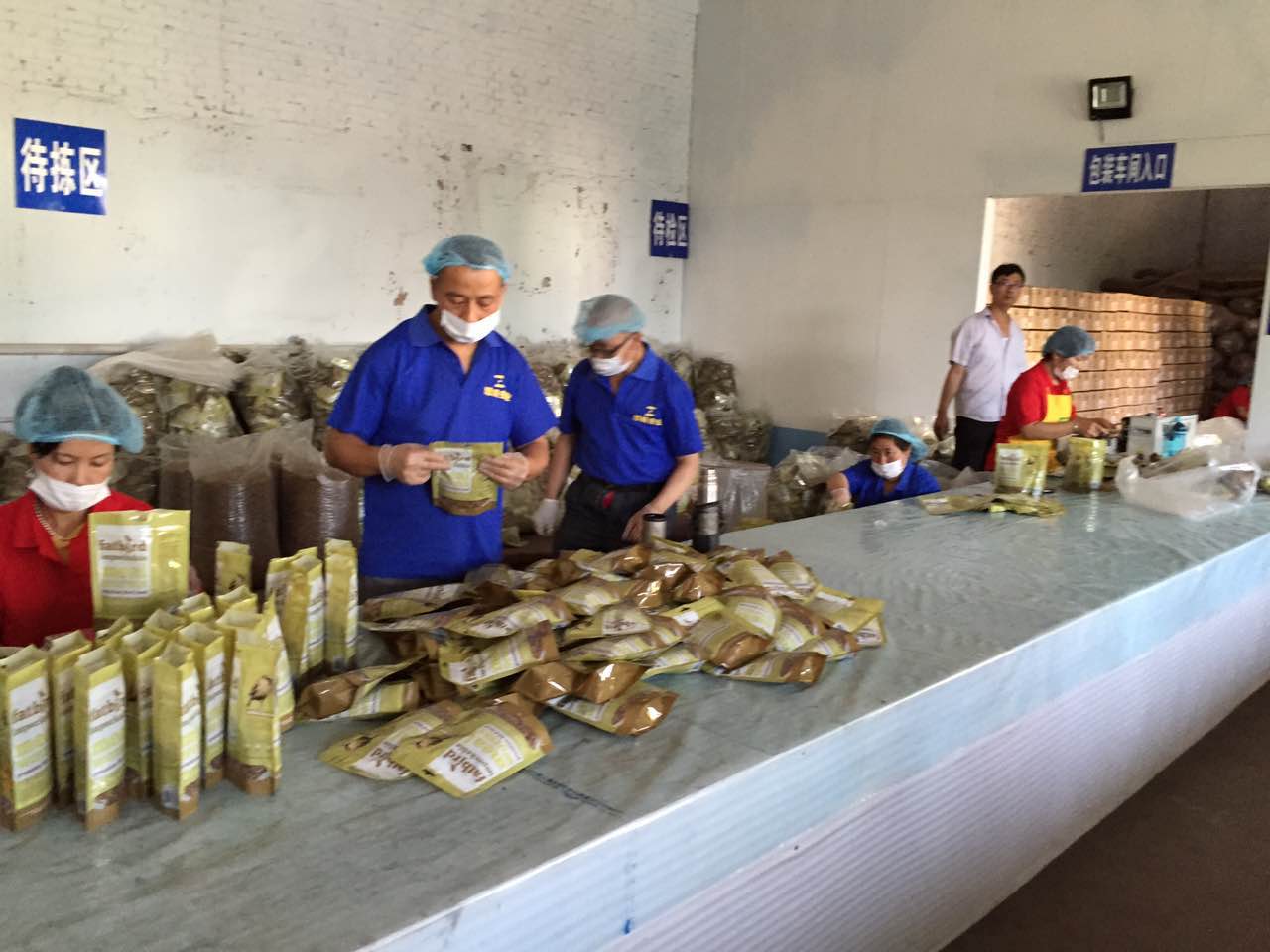 Wholesale mealworms factory in UK - Green pet care