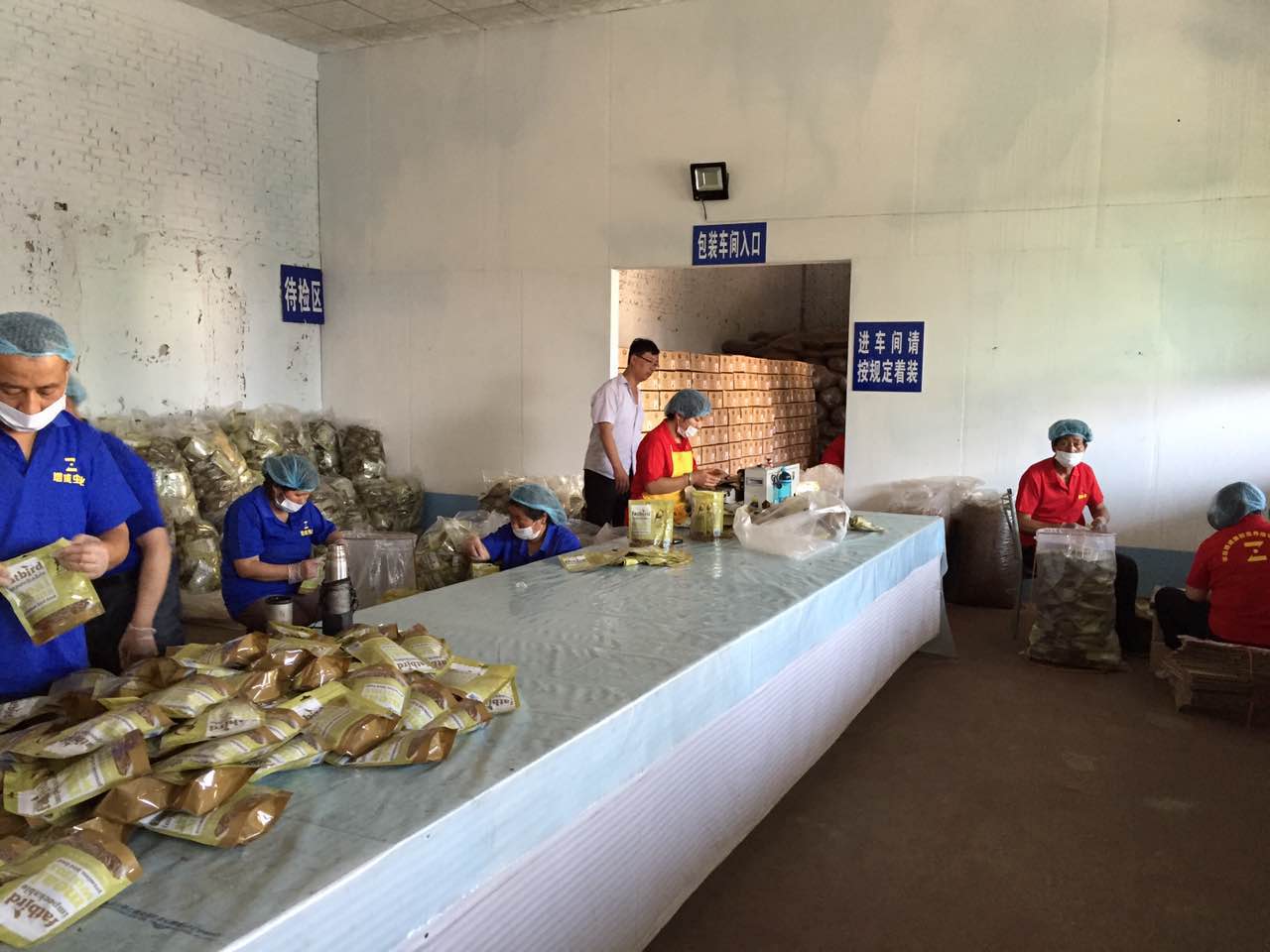 Wholesale mealworms factory in UK - Green pet care