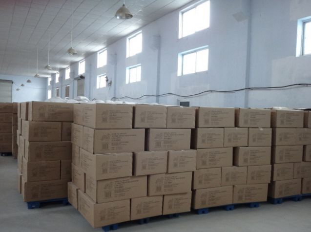 Wholesale mealworms factory in UK - Green pet care