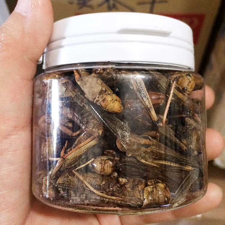 Top Quality Dried Locust for bird food - Green pet care